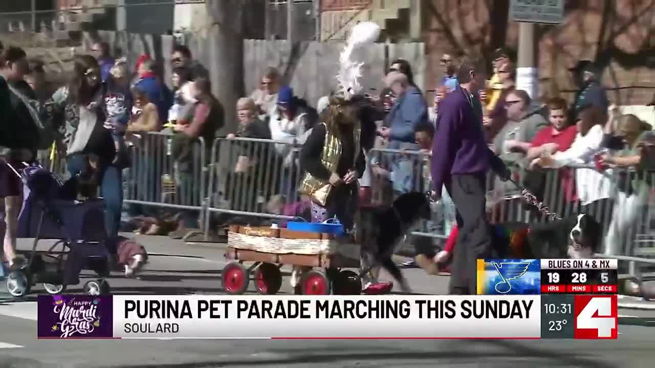 Taste of Soulard, Purina Pet Parade set for this weekend