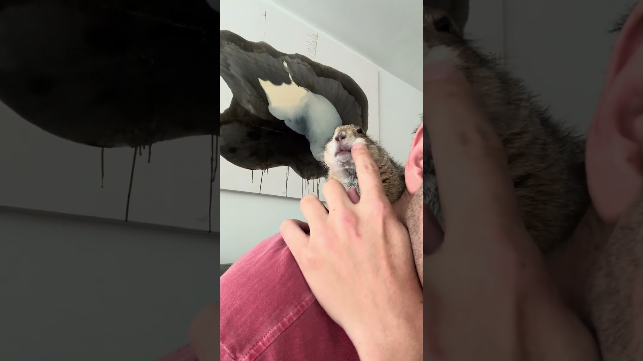 Just a Little Ear Nibble from Poppy the Prairie Dog