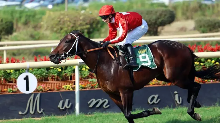 All eyes on Prokofiev in Poonawalla Breeders` Multi-Million