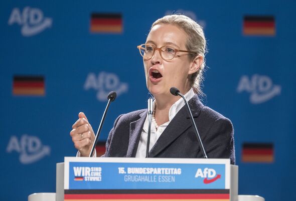 Germany Election 2025 polls: When will results be announced as AfD set ...