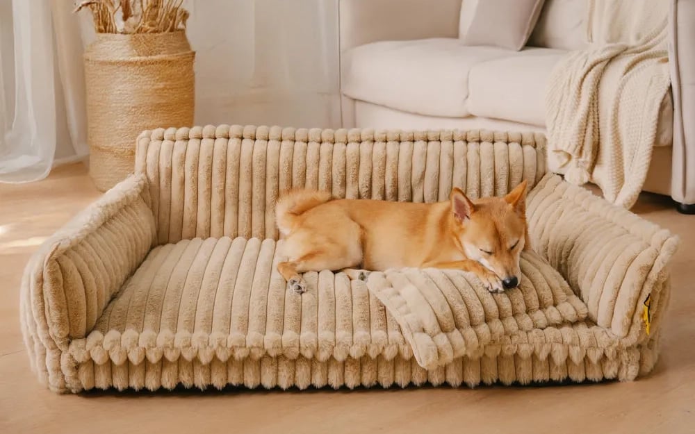 Best sofas for dogs: Top picks for comfort, style and durability