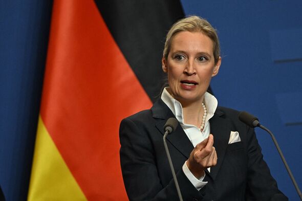 Panic in Germany as AfD's Alice Weidel sees surge in support hours ...