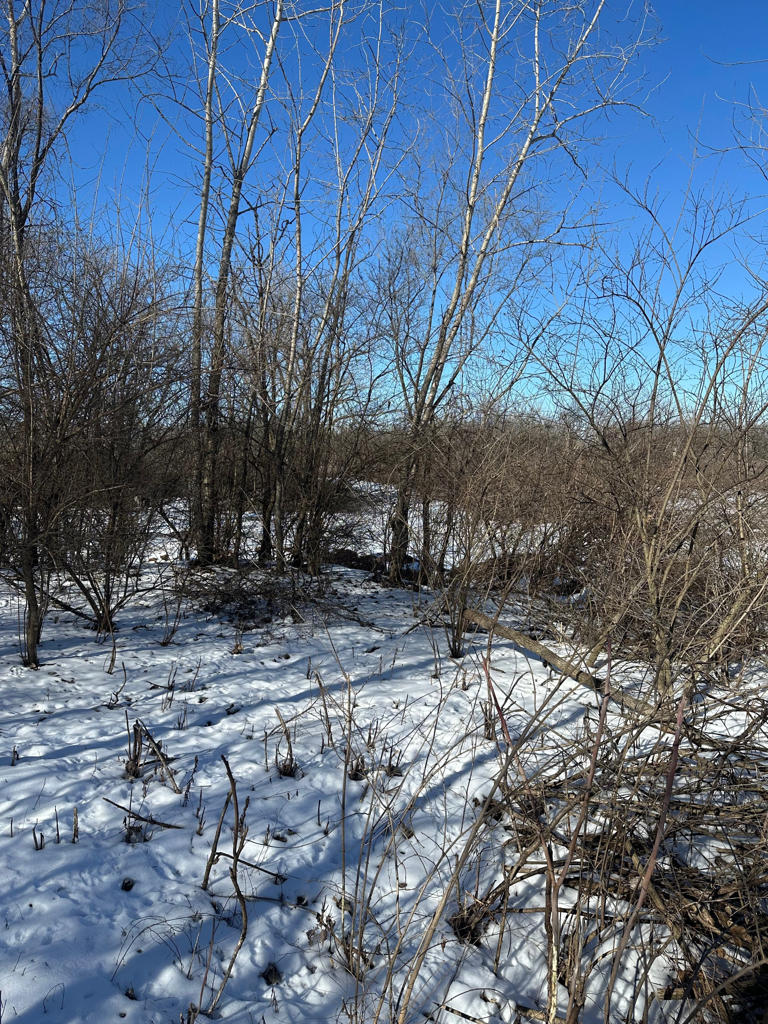 Friends of Quarry Park want community to realize full potential - bike ...