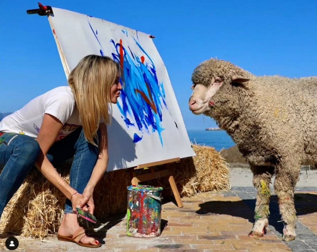Onde está Baanksy? Ovelha pintora foi roubada de uma quinta na África ...