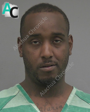 Gainesville man arrested for exposing himself across from playground ...