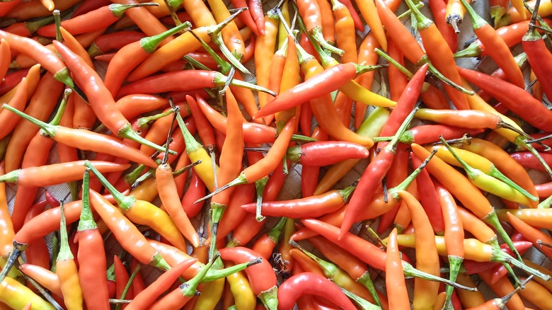 15 Food Crops That Originated In Mexico