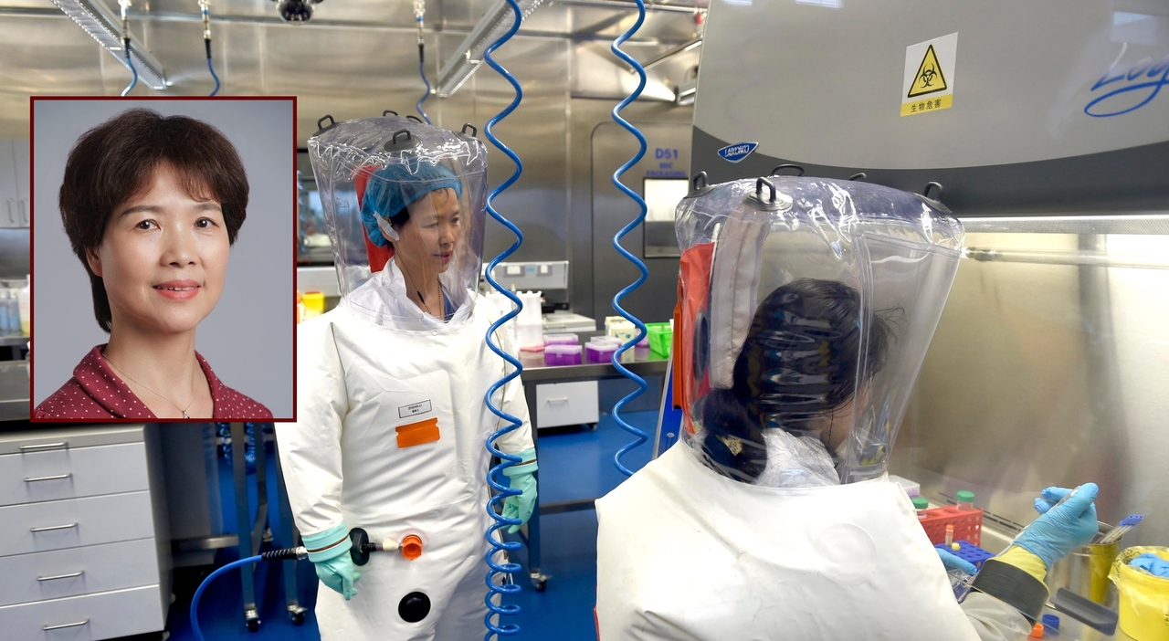 Nuovo coronavirus, chi è la virologa cinese Shi Zhengli: la Batwoman del laboratorio di Wuhan e ...