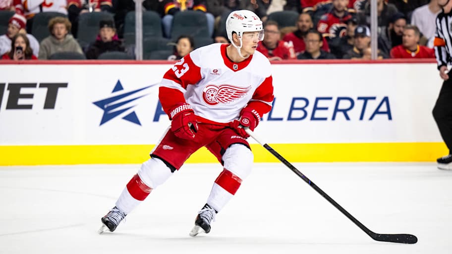 How to Watch Wild vs Red Wings: Live Stream NHL Hockey, TV Channel, Odds