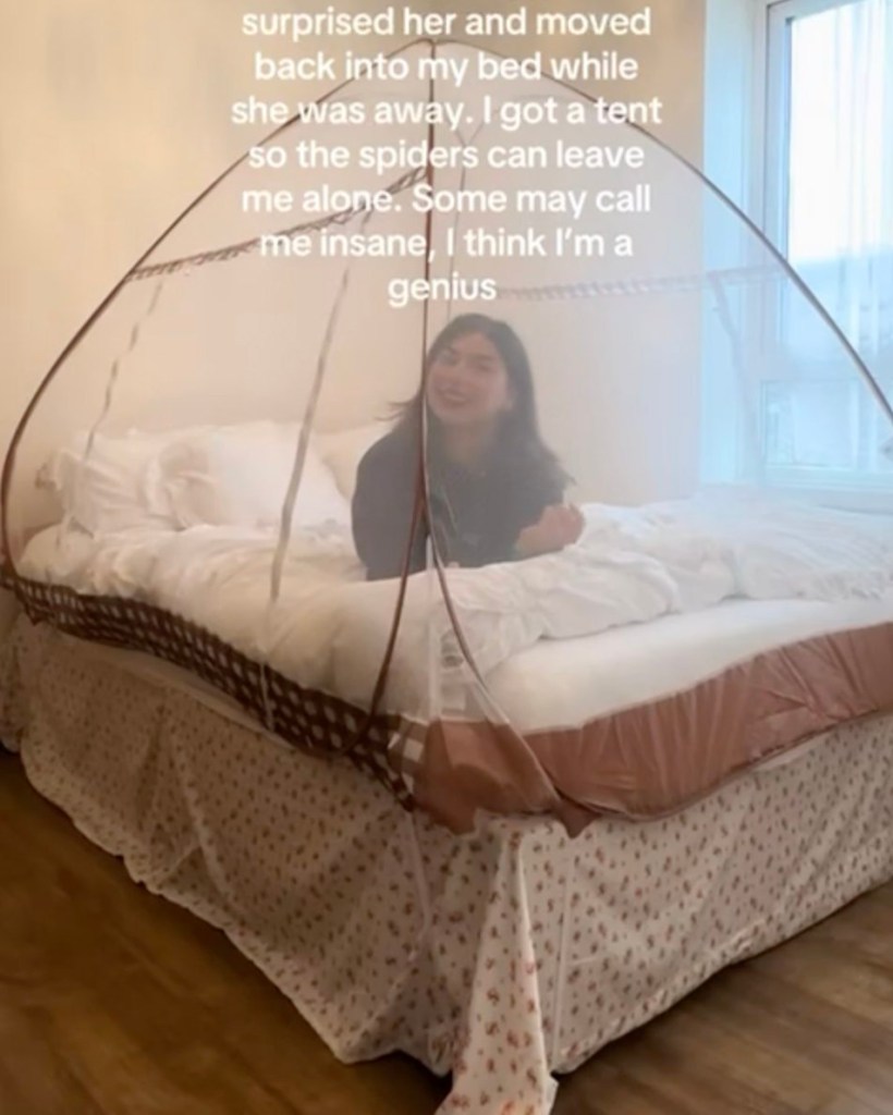 Woman with fear of spiders shares unique sleeping method to keep them ...