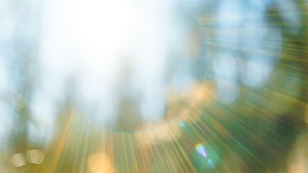 Sunshine, warm weather ahead for North Texas after freezing temps