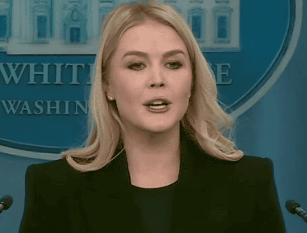 Karoline Leavitt Tells Megyn Kelly Even Legacy Media ‘Appreciates ...