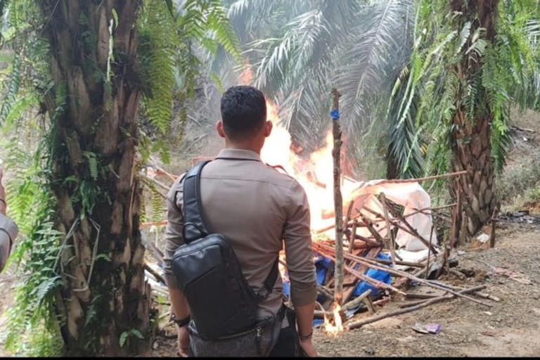 Polres Bungo Bakar 11 Titik Lubang Tikus Tambang Emas Ilegal Polres Bungo Bakar 11 Titik Lubang Tikus Tambang Emas Ilegal