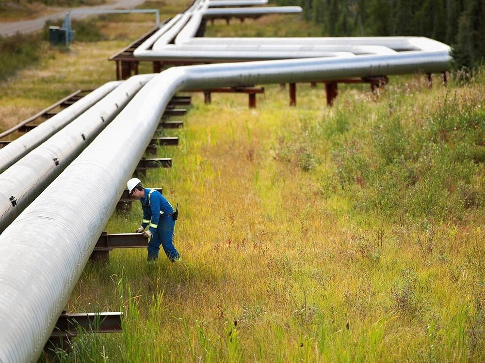 Pipeline no longer a pipe-dream? FP Video examines what changed