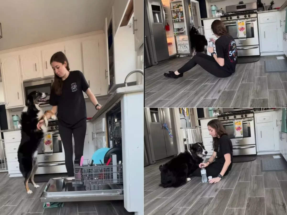 Viral Video shows heroic dog rescuing owner in medical crisis. Watch