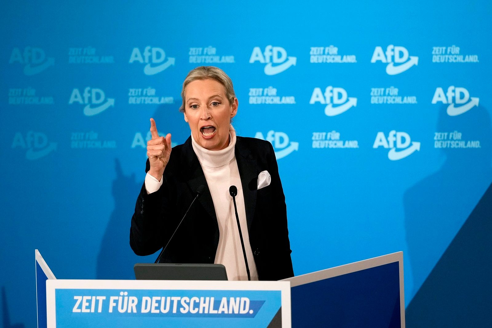 Γερμανία: Πρώτο κόμμα η AfD δείχνει νέα δημοσκόπηση