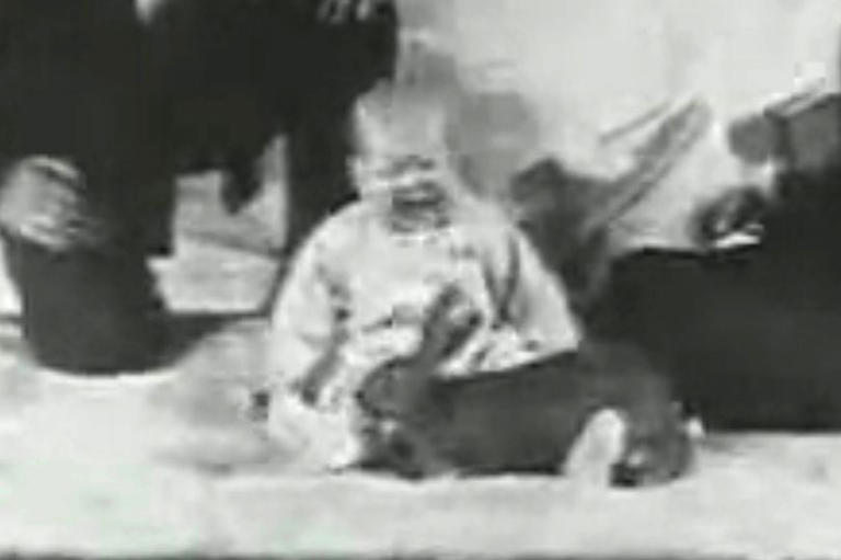 Baby exposed to 'most unethical psychological experiment' met a very ...