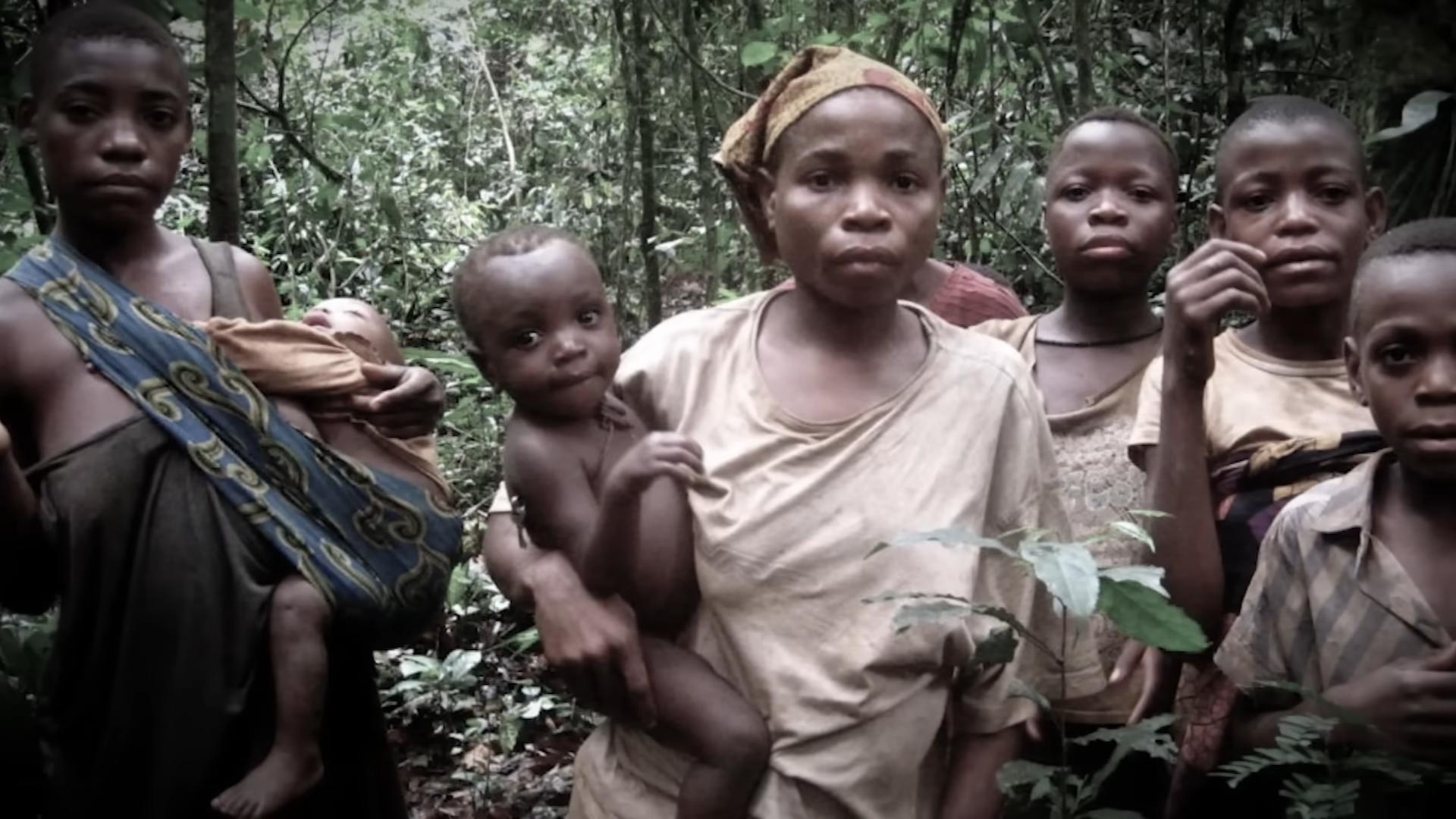 Could giant spiders still exist - The legend of J’ba Fofi