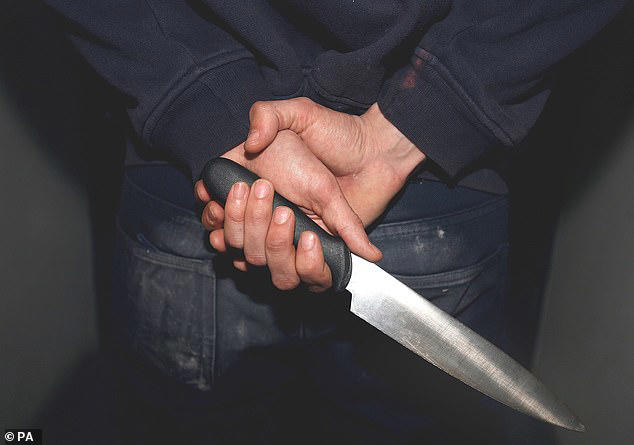 Police want knife licences to stop children trading blades on social ...