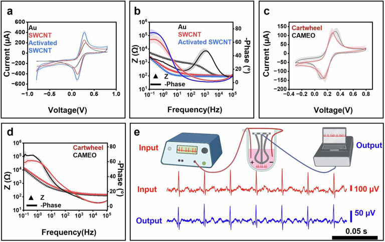 Scalable sensors lower the cost of studying genetic disorders