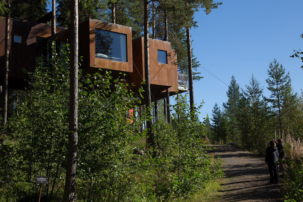 Images Of Most Unique Tree House Hotels In The World