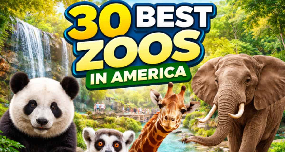 30 of the best zoos in America ranked by visitors