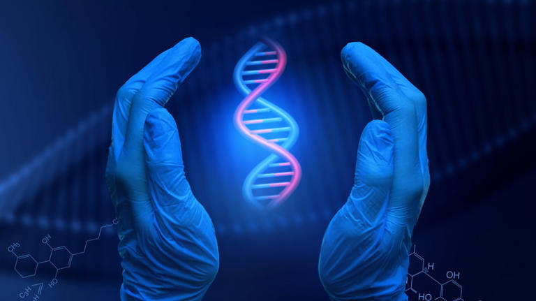 A giant species could hold the secret for extending human lifespans