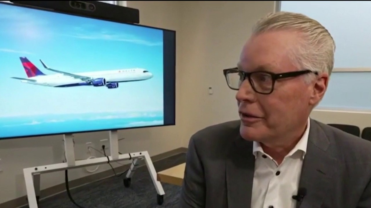 Delta CEO blames lawmakers for wait times