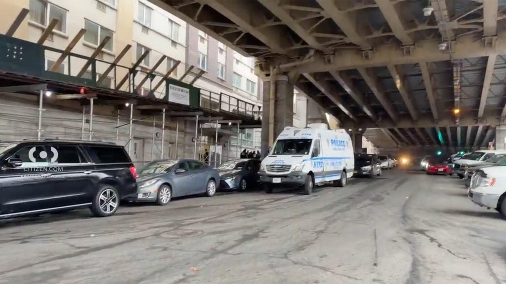 NYPD officer fatally shoots armed man in the Bronx while trying to ...