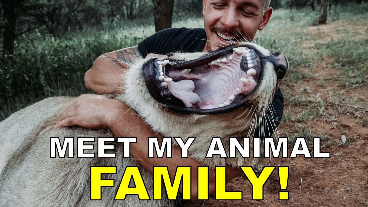 Meet my wild family at Hakuna Mipaka