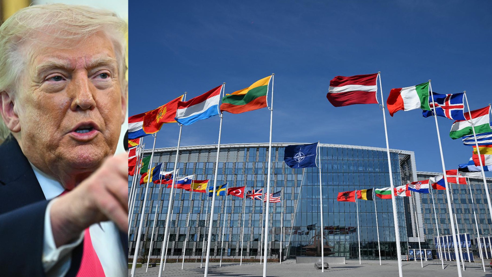 Trump calls NATO 'paper tiger' and says he is considering leaving alliance