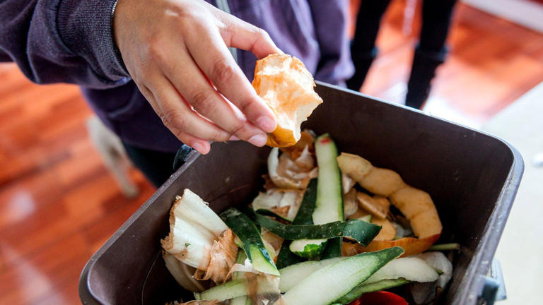 Food waste scheme collects 165 tonnes in first week
