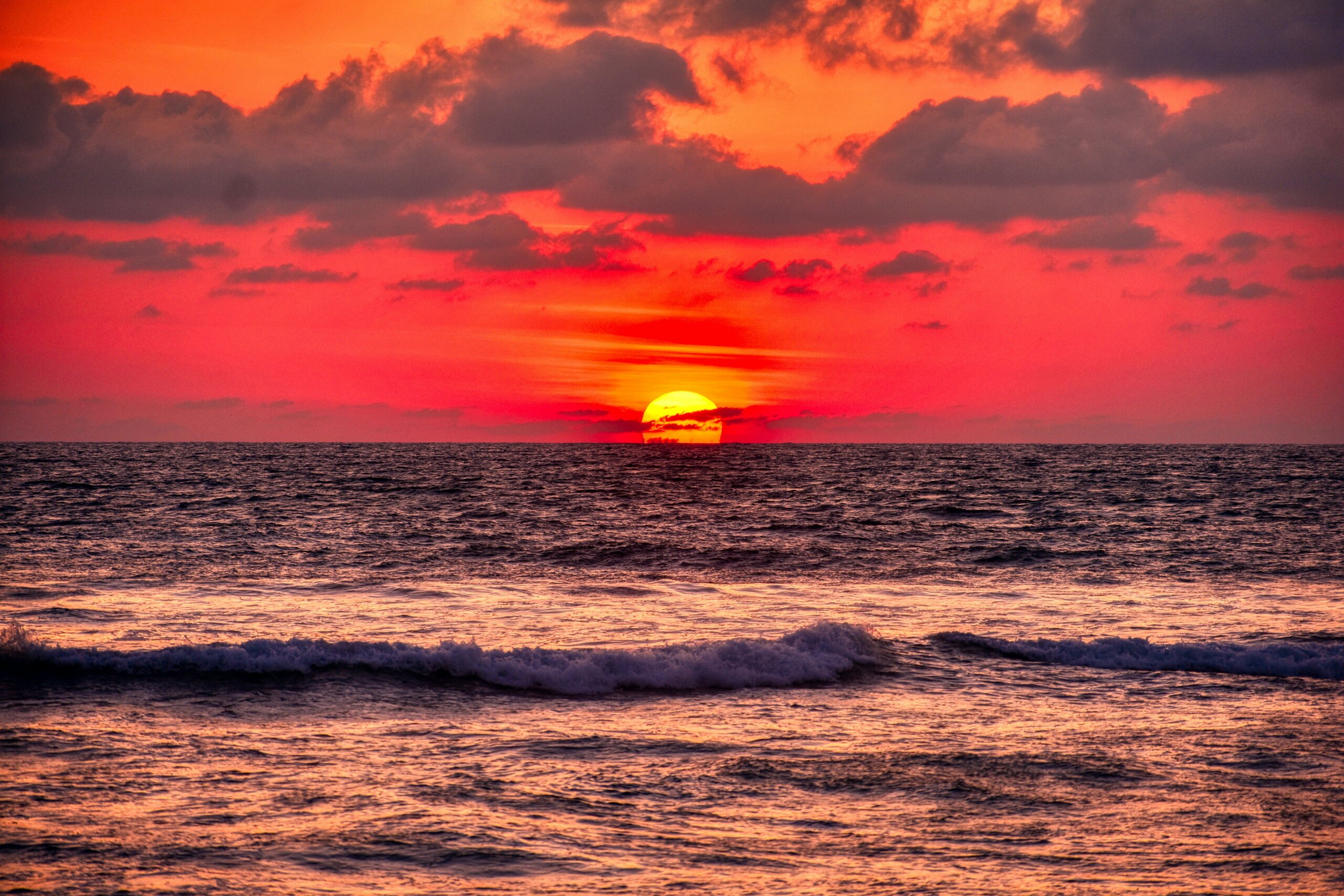 Forget Miami: Here's why Florida's west coast is the state's best-kept ...