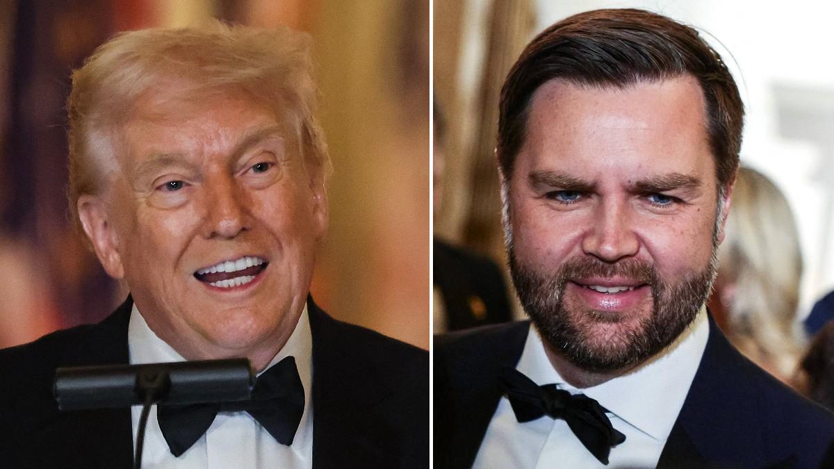 Donald Trump fawns over 'perfect-looking specimen' JD Vance's ...
