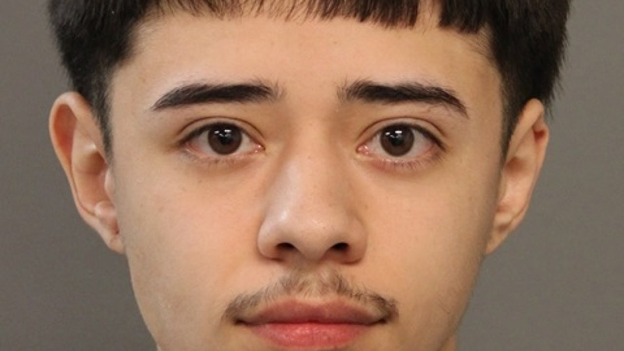 Alleged Chicago gang members charged after feds seize guns, 'switch ...