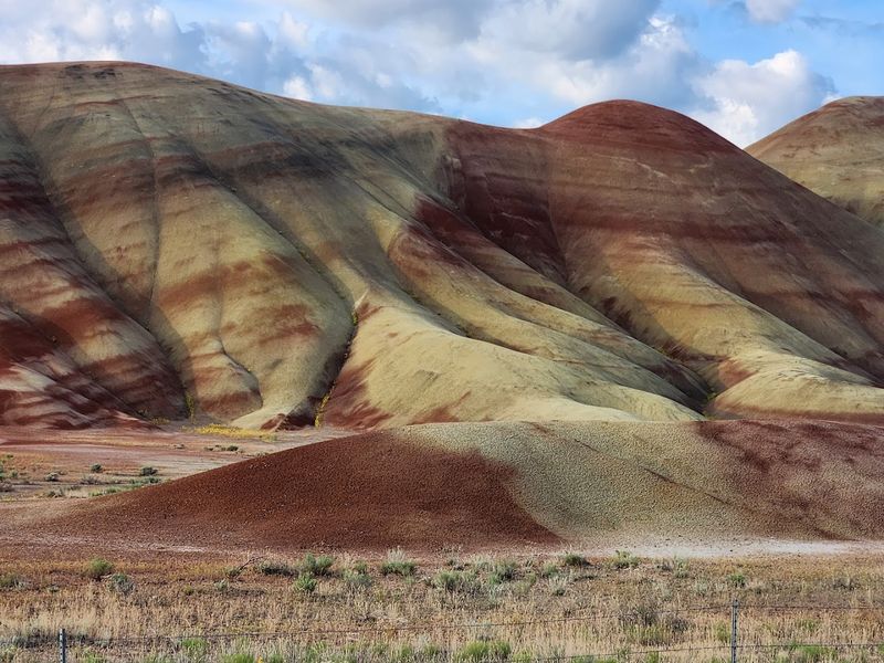 Dig for 40-million-year-old fossils at this Oregon quarry