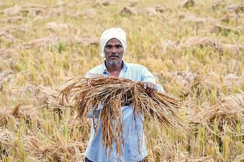 Farmers seek compensation for crop loss, oppose mandi restrictions