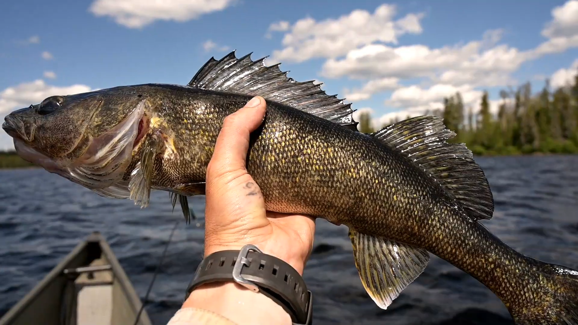 He brought $500 worth of gear - only used 3 lures