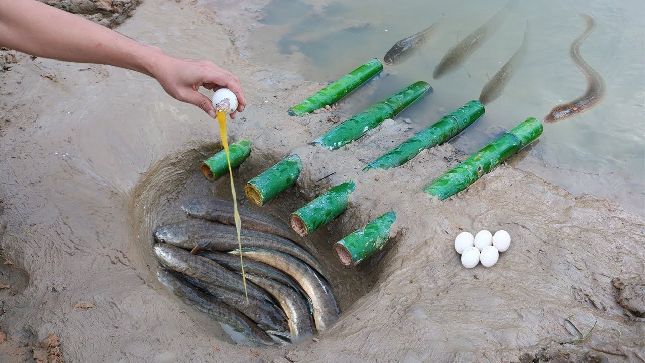 Catch fish using duck eggs