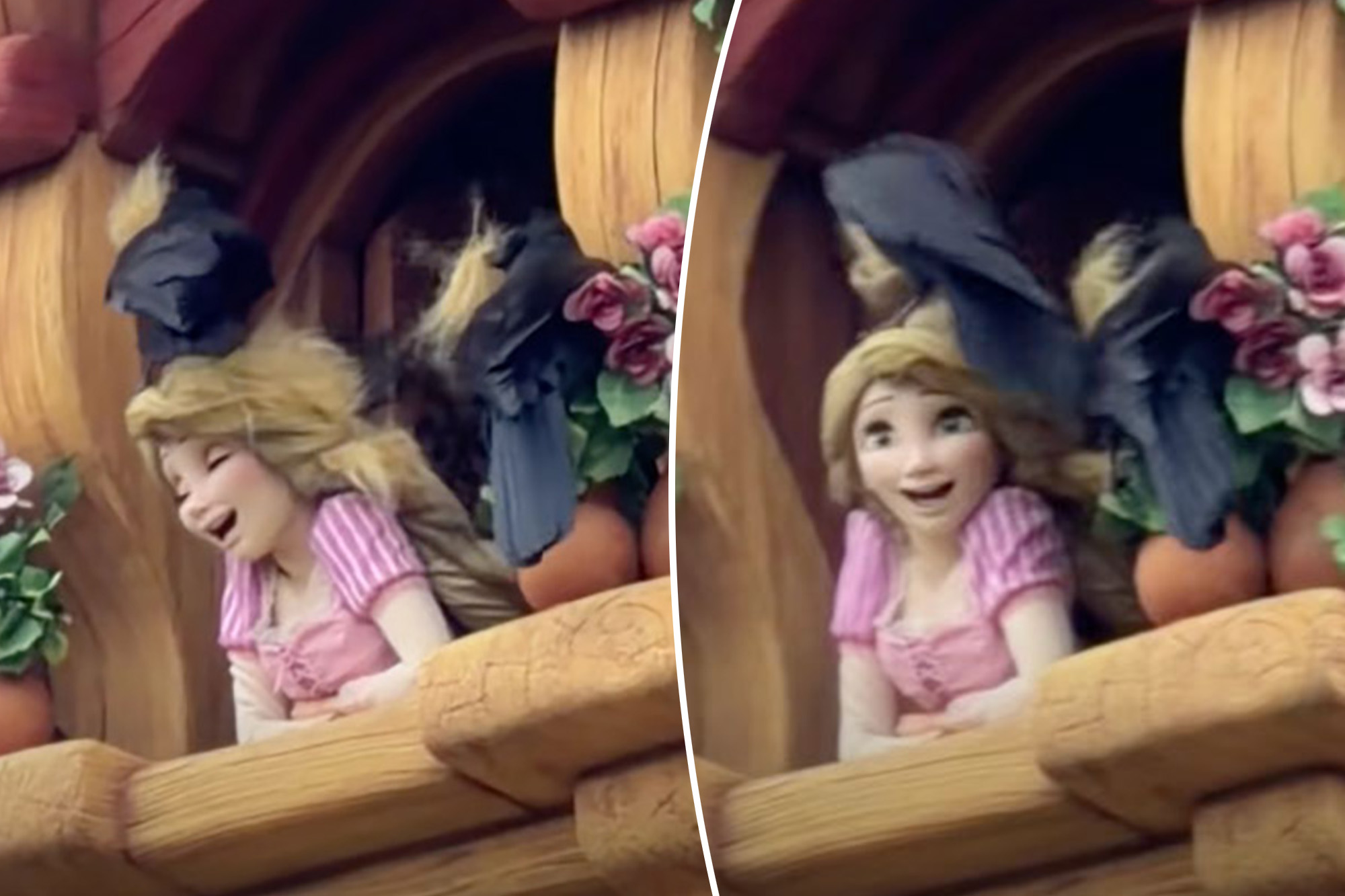 Disney park visitors traumatized as crows attack Rapunzel in ...