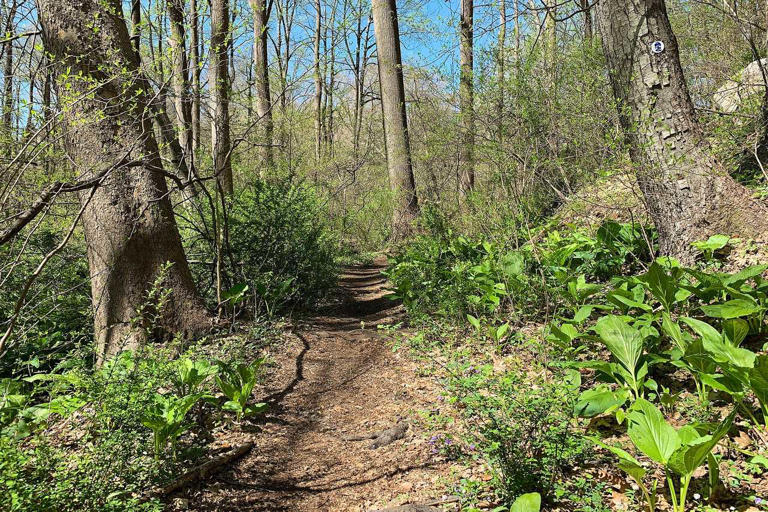Man found dead on Patriots Path