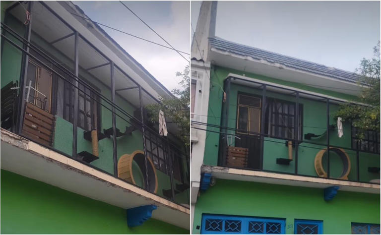 ¿Qué es un “catio”?; la instalación para gatos que se volvió viral en redes