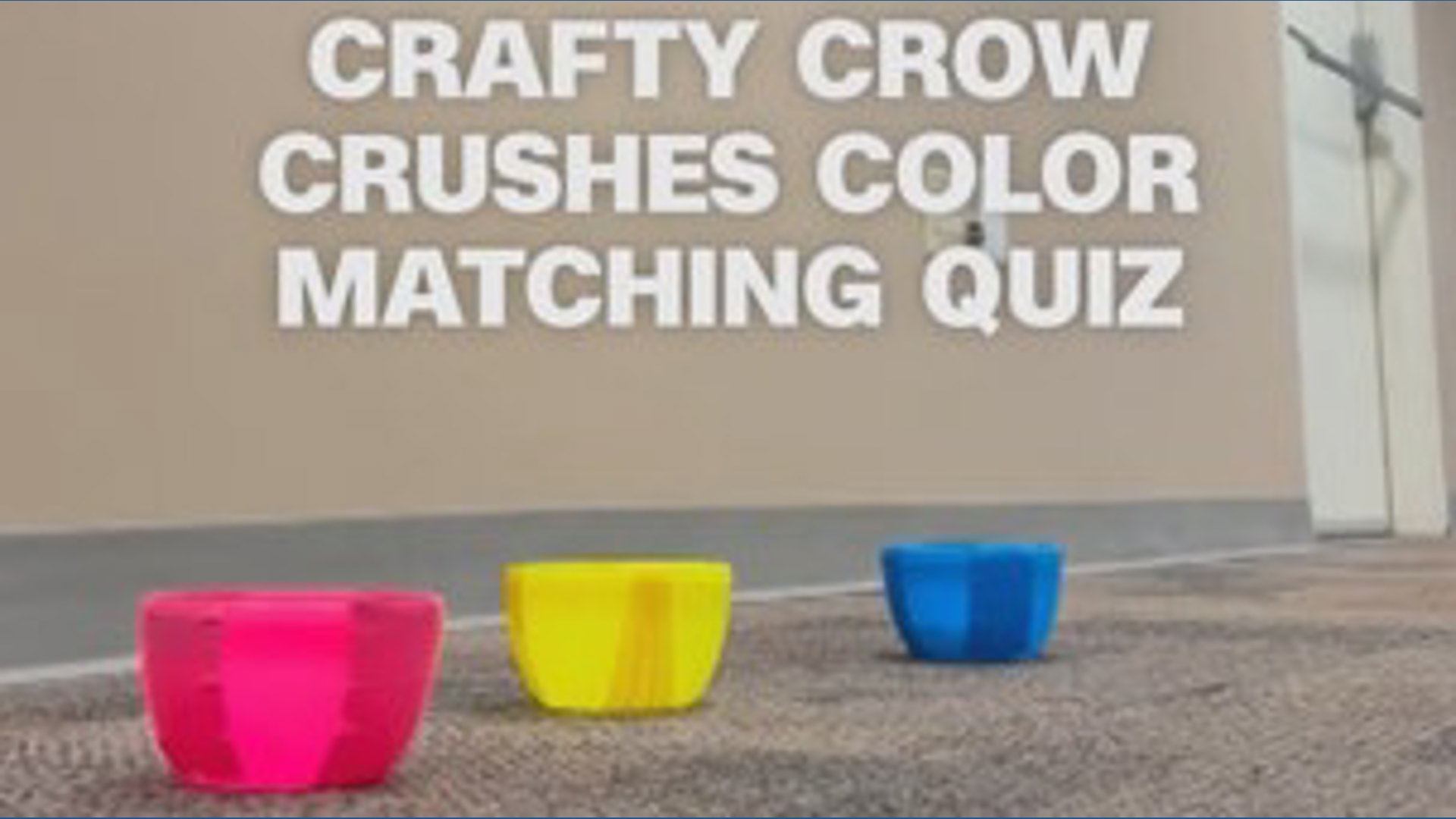 Crow aces matching game at Cincinnati Zoo