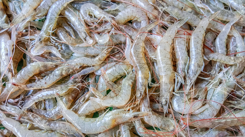 10 shrimp-buying secrets every shopper should know