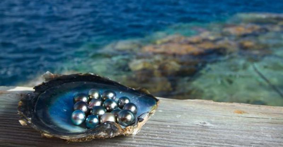 A family lives in the middle of the ocean: Inside life at the 'end of ...