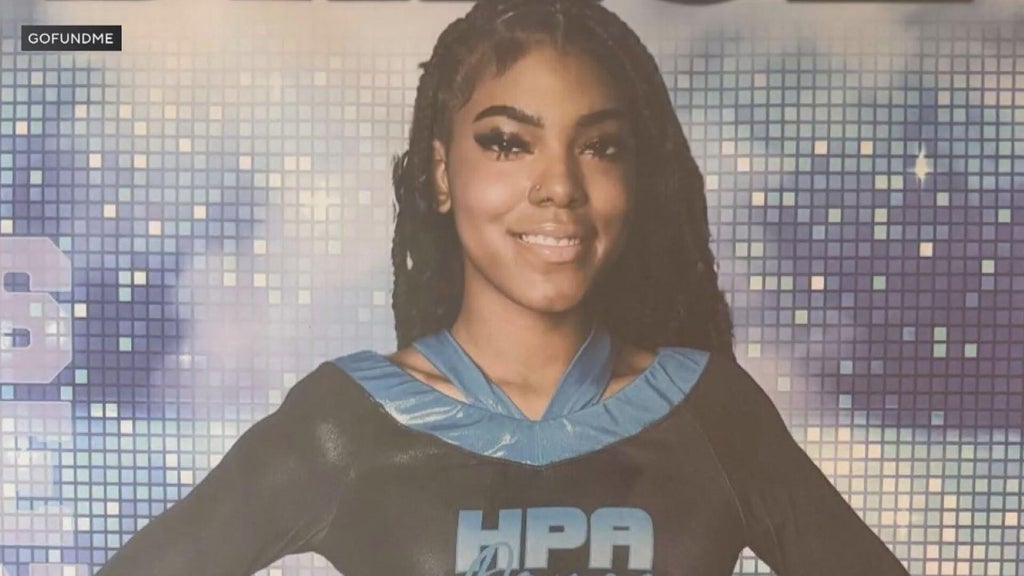 Hyde Park Academy High School student killed in hit-and-run on her way ...