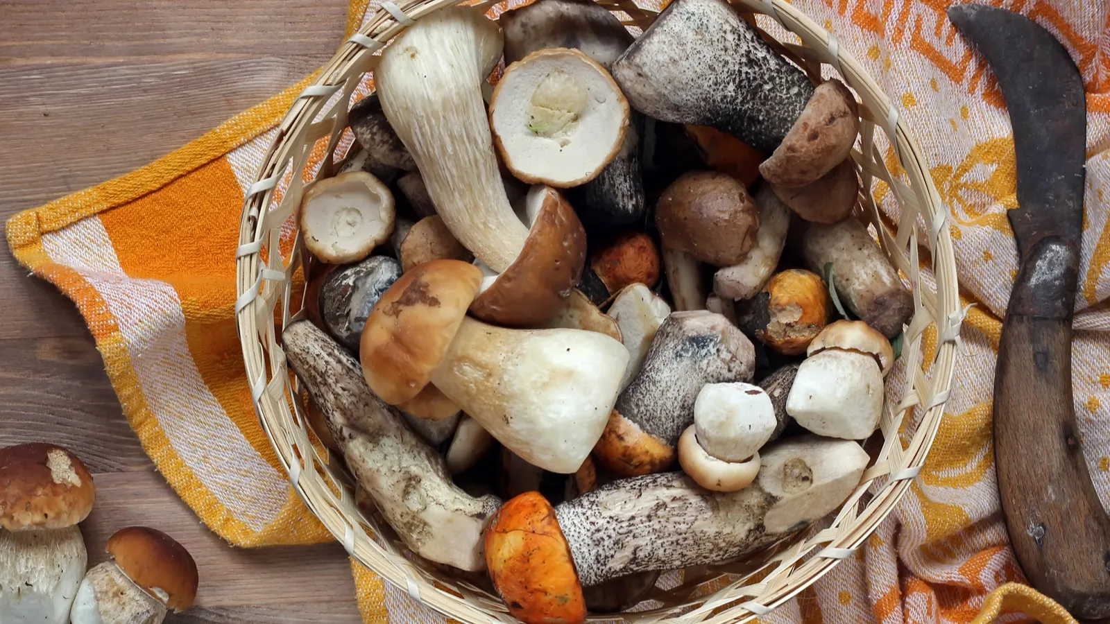Genius had simple taste. Here’s what Albert Einstein loved to eat