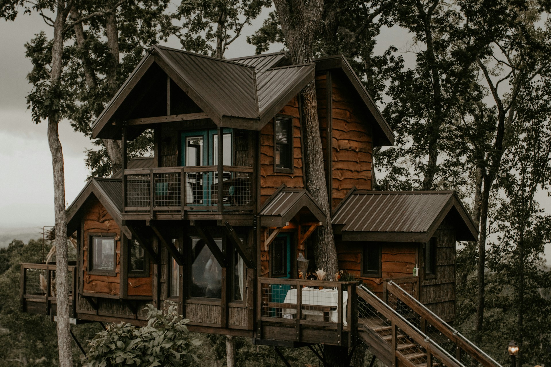 Images Of Most Unique Tree House Hotels In The World