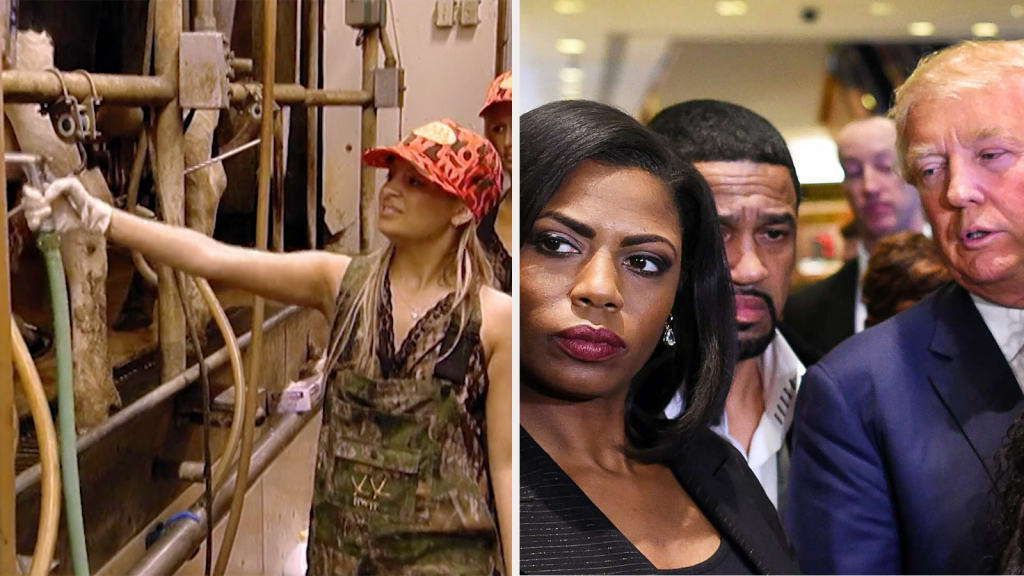 The wildest things we saw on 2000s television