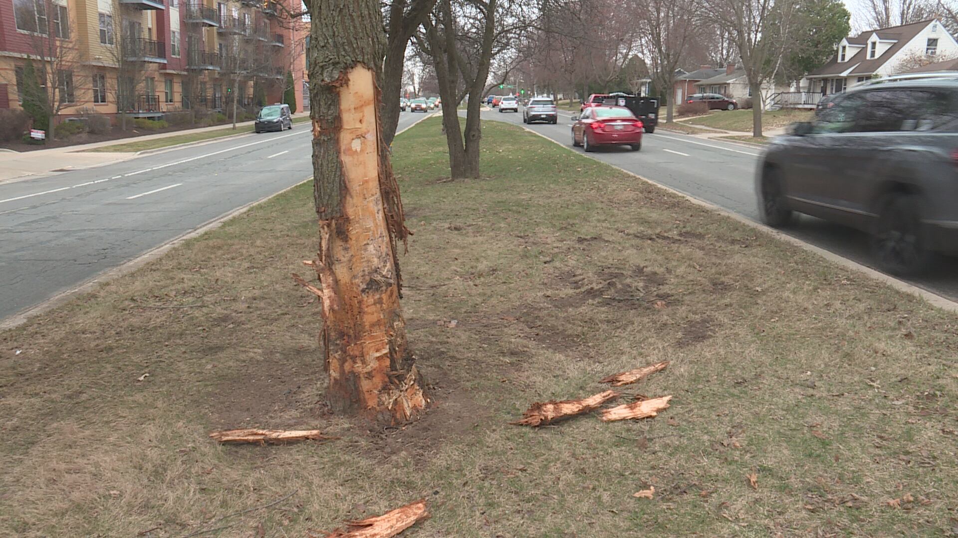 Madison Police: 19-year-old dies in crash less than hour after birthday