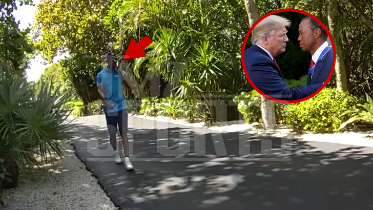 Tiger Woods called President Donald Trump from scene after flipping car